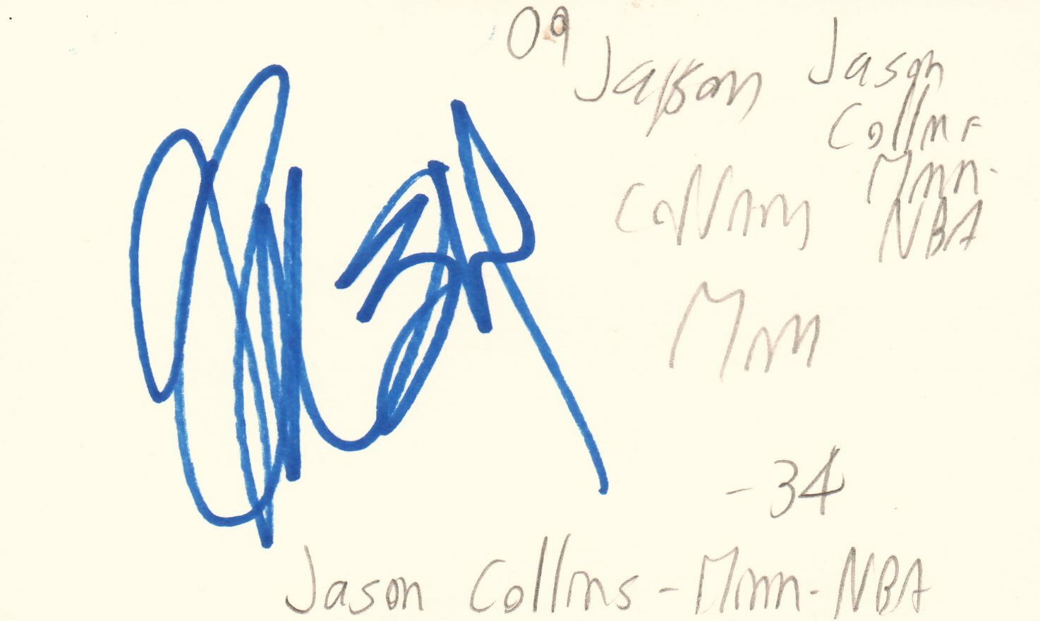 Jason Collins Timberwolves