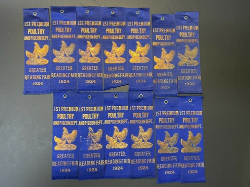 Vintage 1924 Reading PA Fair 1st Premium Prize Poultry Pigeon Dept ...