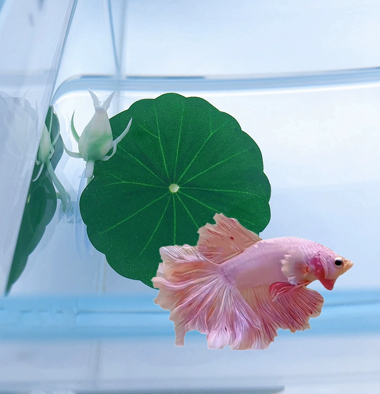 New Betta Bed Hammock Betta Fish Lotus style Pad Artificial Fish Tank ...