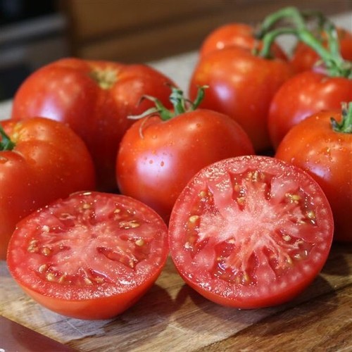 Better Boy Tomato - 50 Seeds 2025 - USA | eBay