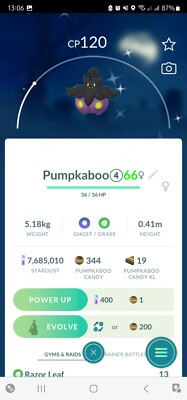 Pokémon Shiny Pumpkaboo GO | eBay