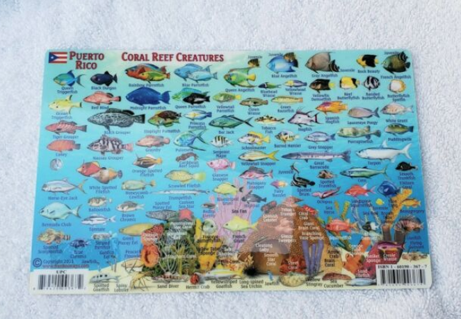 PUERTO RICO Dive Map & Reef Creatures ~ FRANKO~ Waterproof Fish Card ID ...