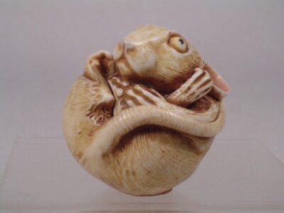 Harmony Kingdom 'Fred' Mouse Roly Poly-#TJICE01M- New In Box | eBay