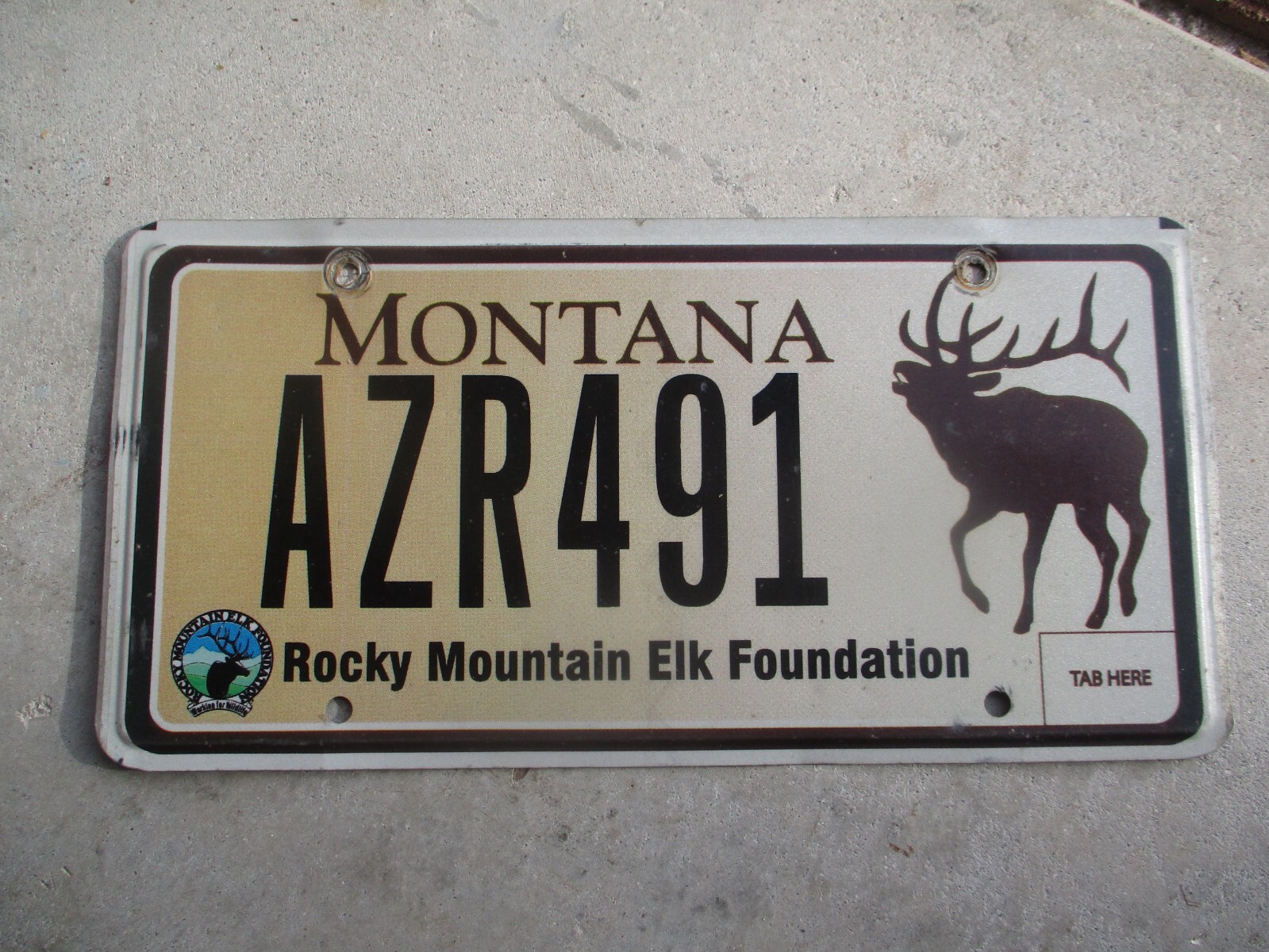 Montana ELK license plate # AZR 491 | eBay