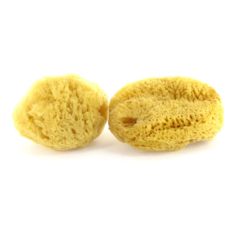 Sea Sponge Tampons
