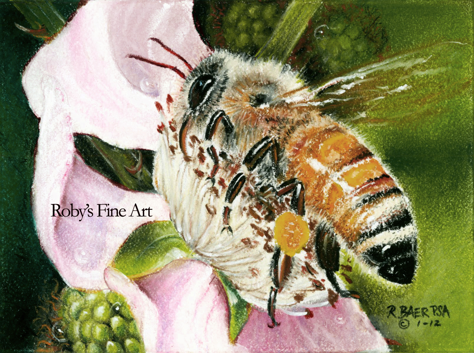 Honeybee Art Print "Bee And Blackberries" Honey Bee 8x10 Giclee by Roby ...