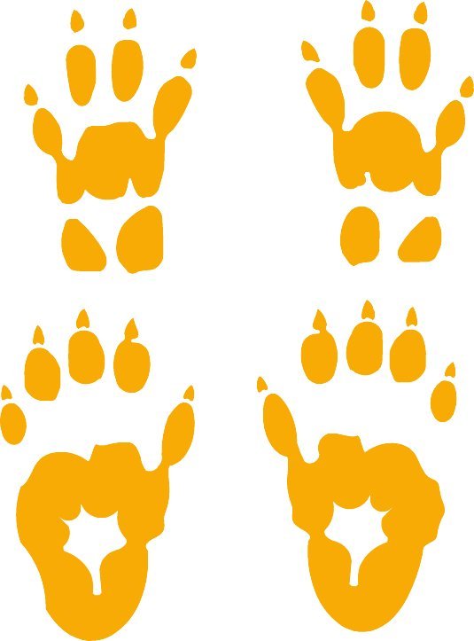 woodchuck track /groundhog footprint sticker /marmot paw print decal | eBay