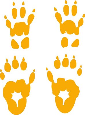woodchuck track /groundhog footprint sticker /marmot paw print decal | eBay