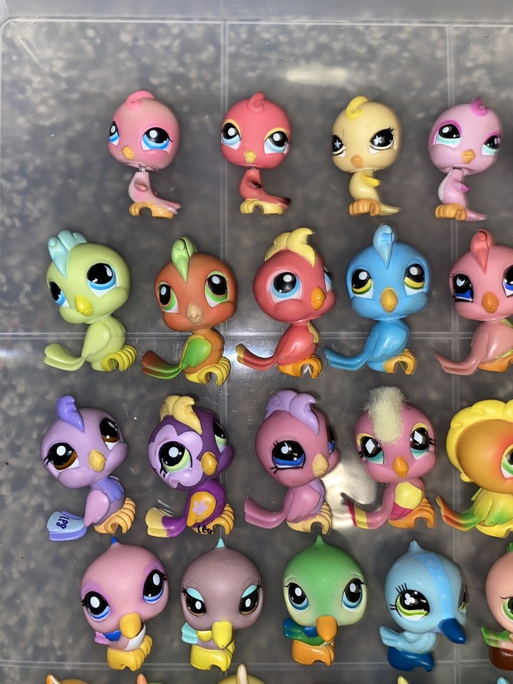 Littlest Pet Shop *You Pick* Sparrow, Bird, Cockatoo, Parakeet, LPS ...