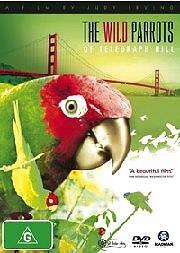 Wild Parrots Of Telegraph Hill, The (DVD, 2003) for sale online | eBay