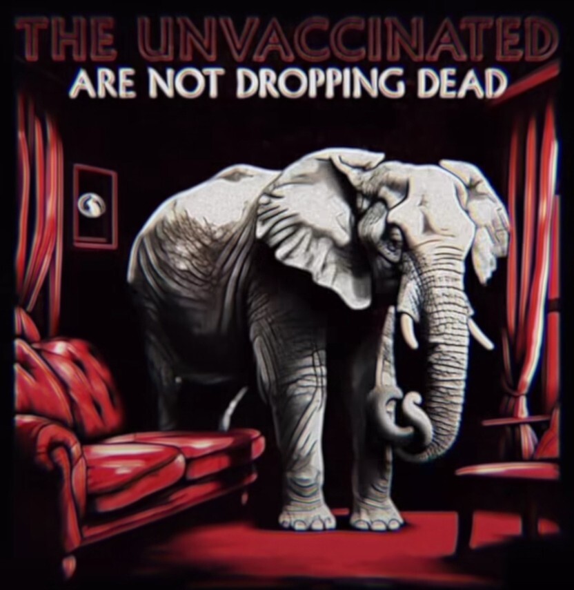 Donald Trump Mug Shot Stickers 10 PACK TRUMP 2024 WANTED FOR PRESIDENT ...