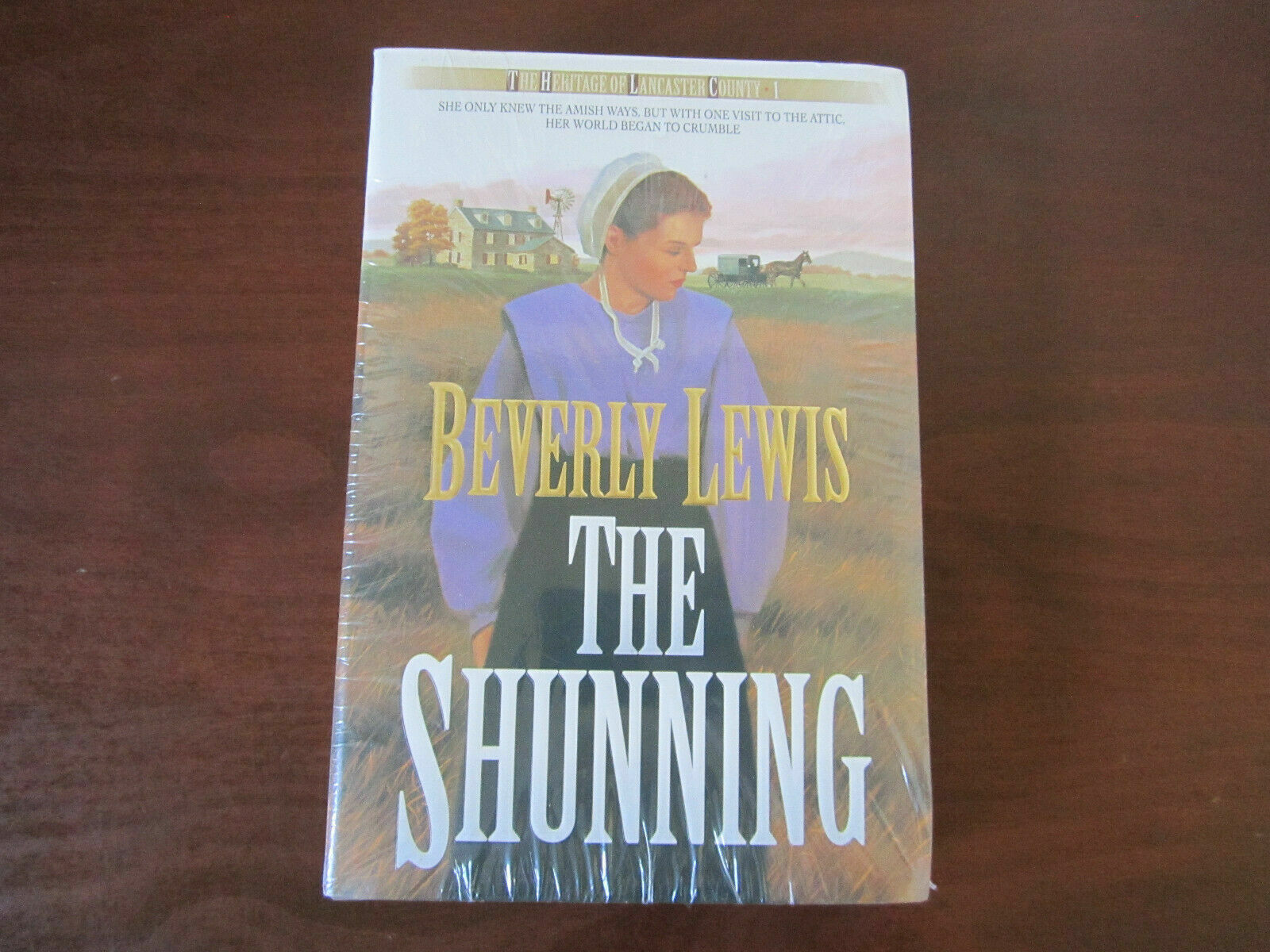 Beverly Lewis Books 1 & 2 Lancaster County The Shunning & Confession ...