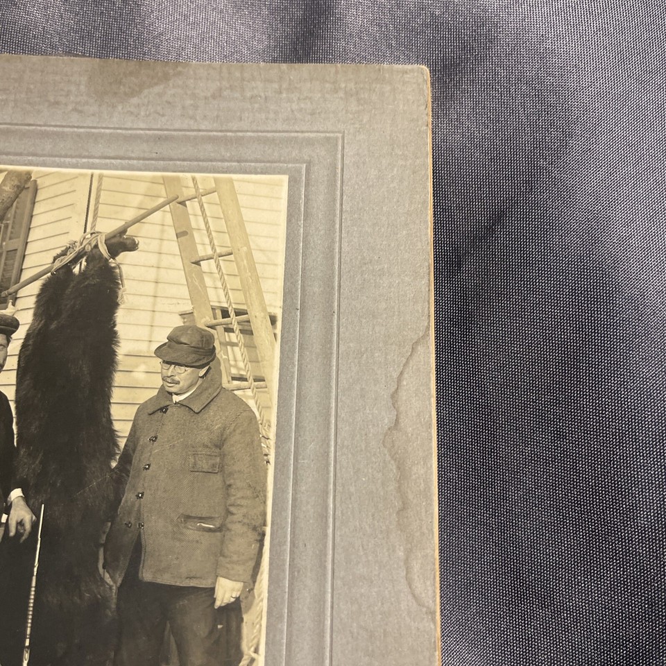 Antique Photograph Hunting Scene Bear & Rifle Cabinet Card Photo | eBay