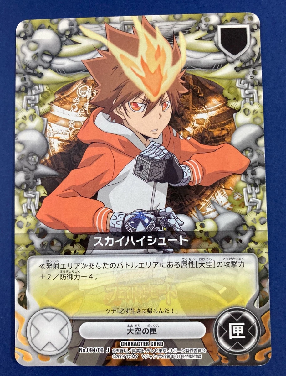 Katekyo Hitman Reborn Decimo