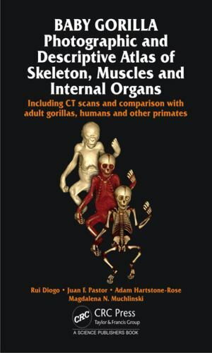 Baby Gorilla : Photographic and Descriptive Atlas of Skeleton, Muscles ...