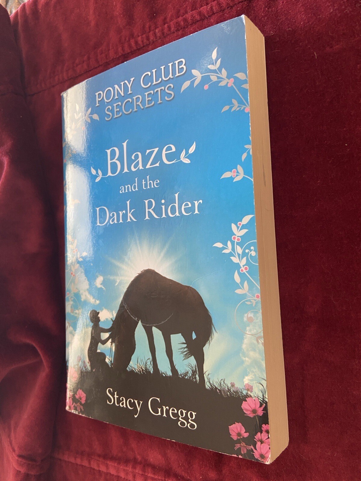 Blaze and the Dark Rider Paperback Stacy Gregg Pony Club Secrets Series ...