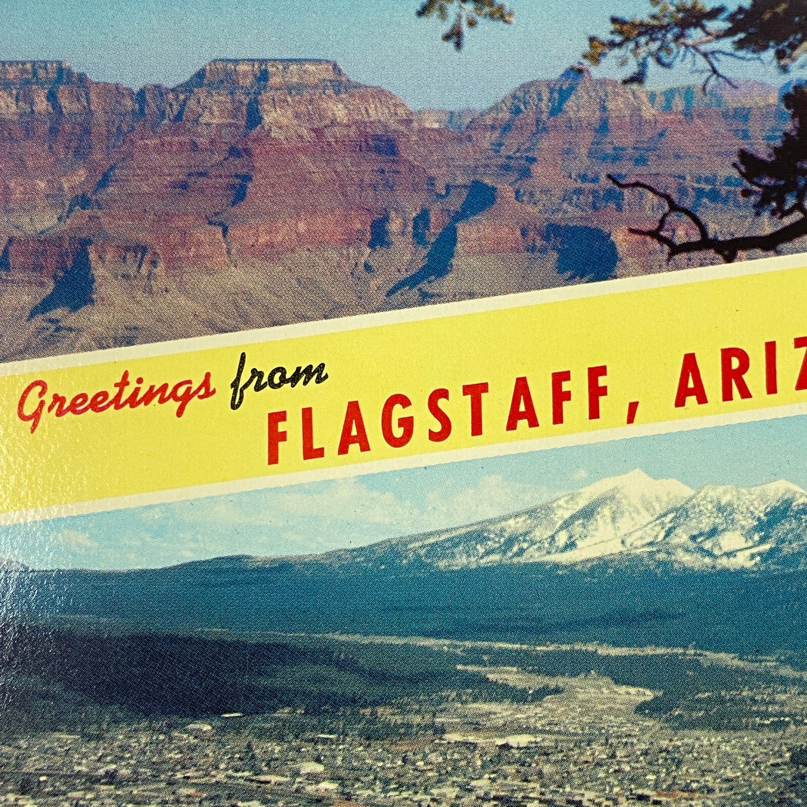 Greetings from Flagstaff Arizona Banner Mather Point Chrome Postcard | eBay