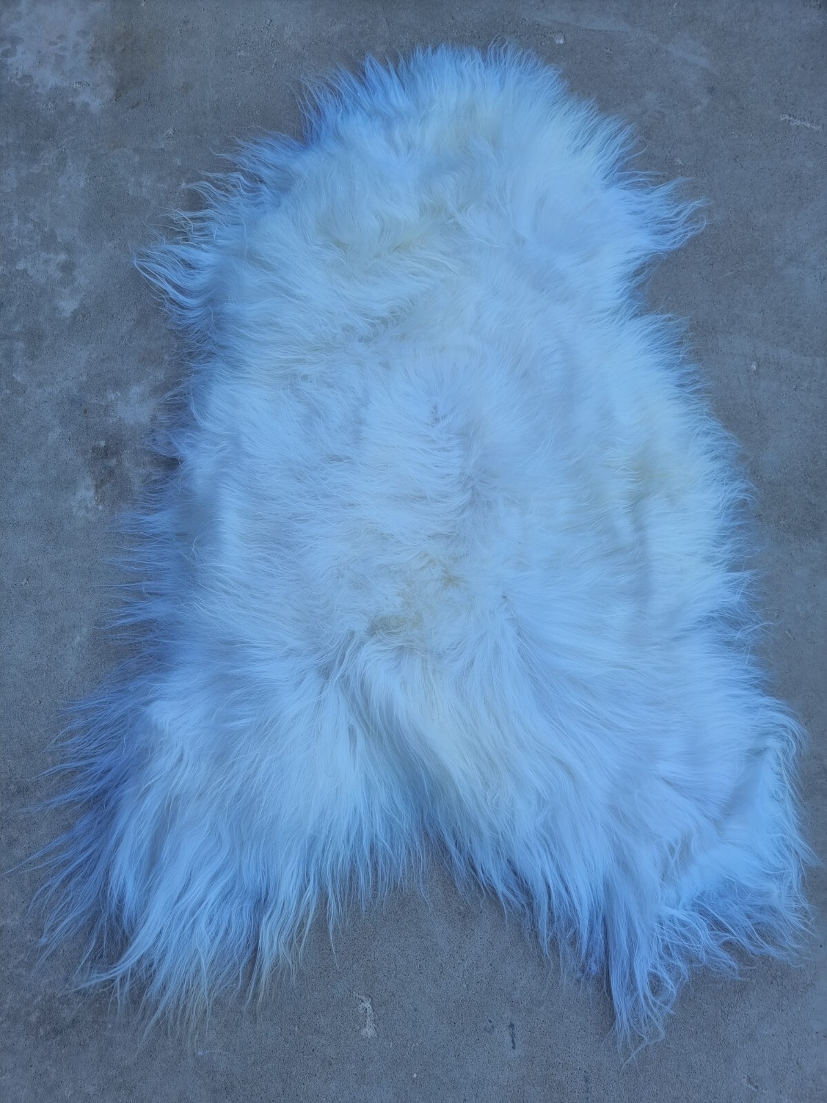 Beautiful Real Prime Islandic Sheepskin Lamb Rug White/Grey/Beige Soft ...