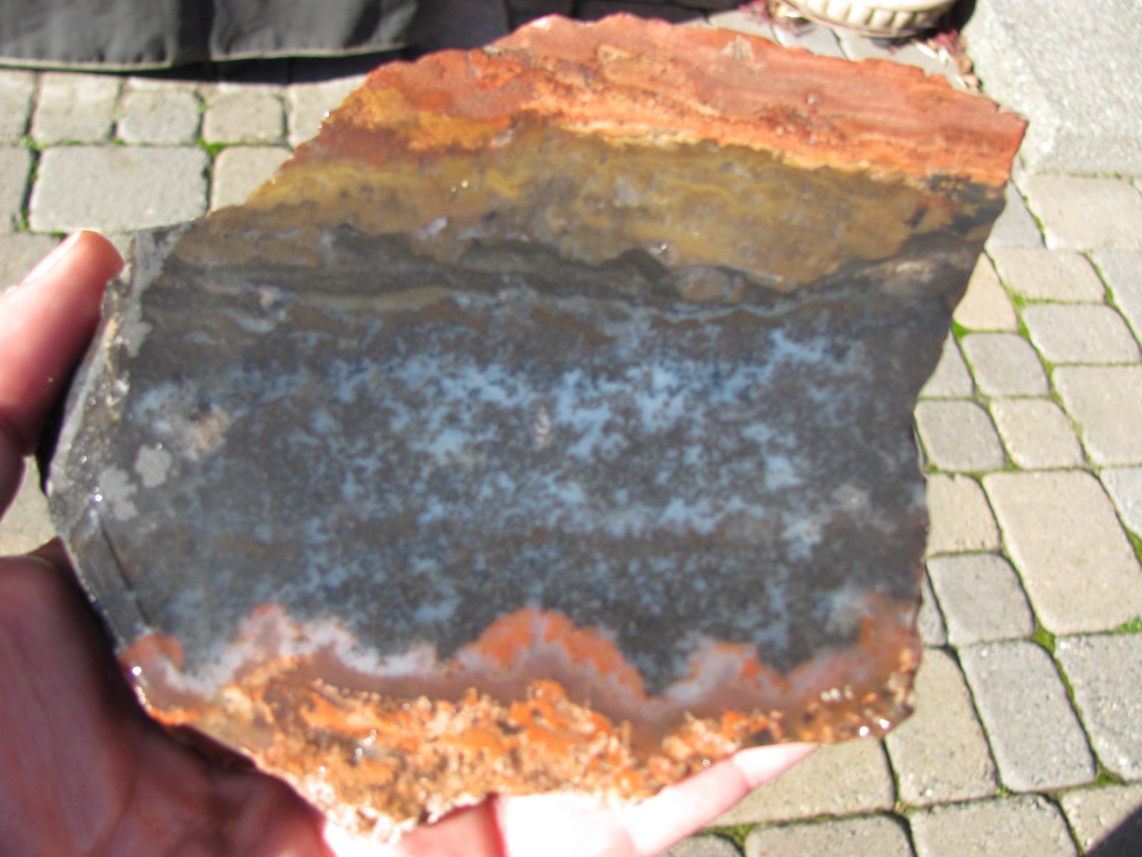 !!Fantastic RARE Slice. Robinson Ranch Plume Agate slice 348 grams | eBay