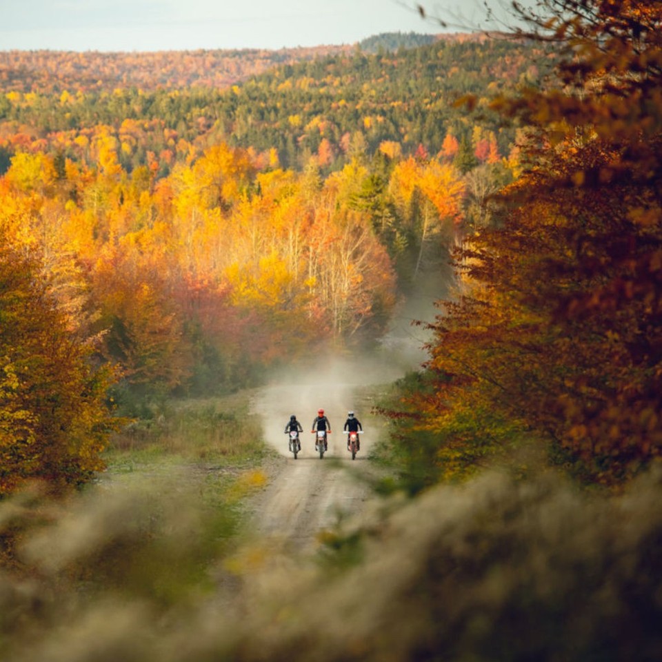 Moto-Master Série Vintage Disque De Frein VINT Avant | eBay