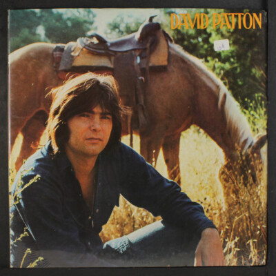 David Patton: David Patton Wooden Nickel 12" LP 33 RPM Scellé | eBay
