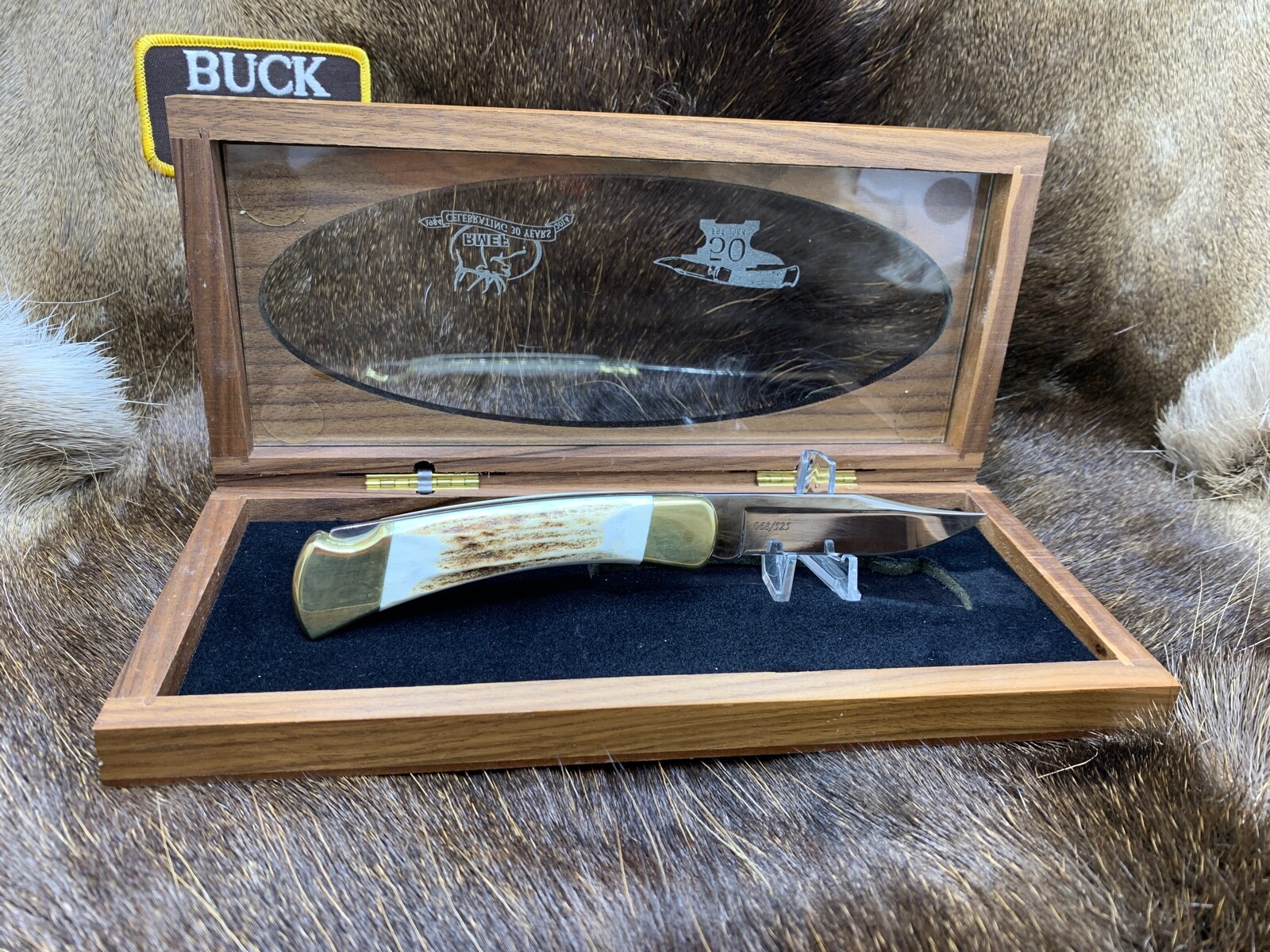 Buck RMEF 110 Folding Hunter Knife With Elk Handles In Walnut Display ...