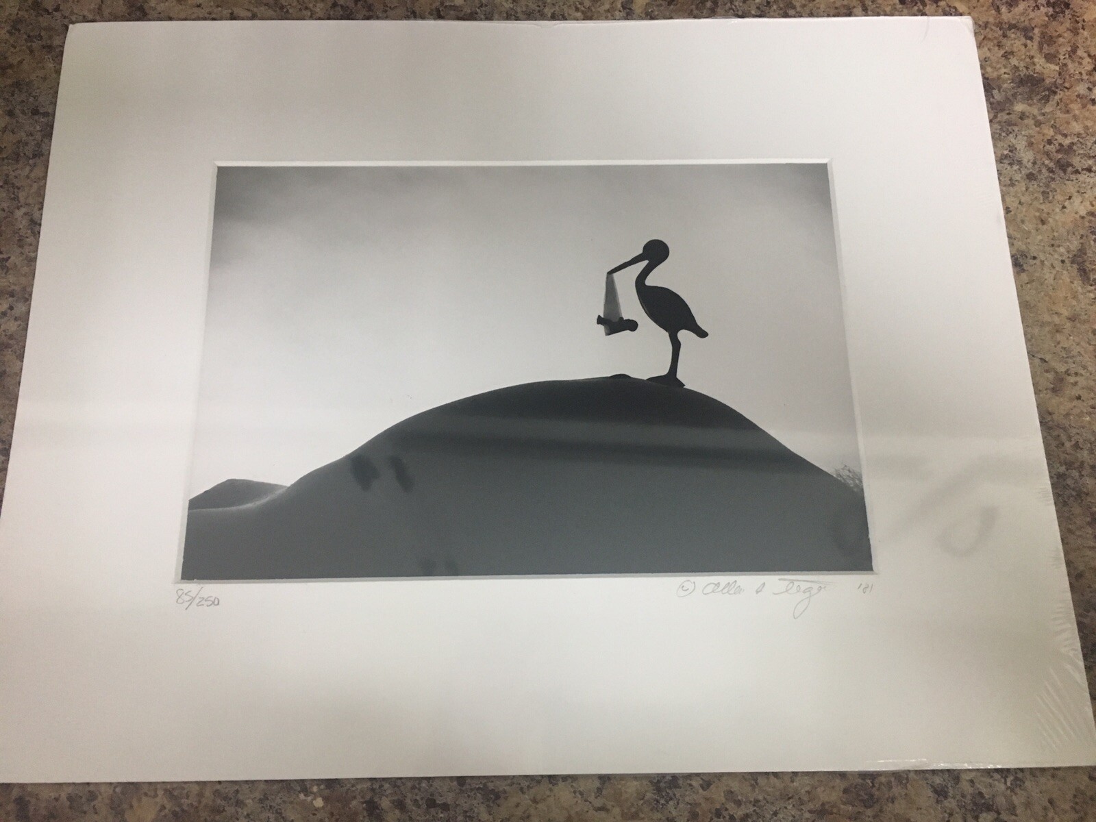 BODYSCAPES by Allan I. Teger Photograph Signed And Numbered | eBay