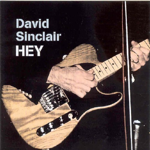 David Sinclair Trio Hey CD NEUF | eBay