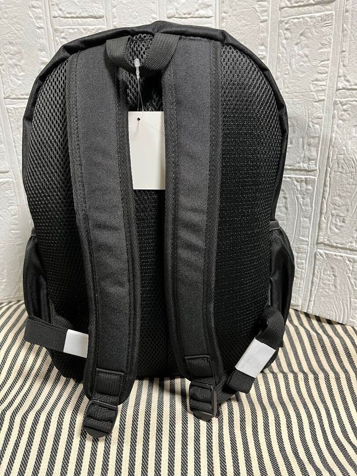 Pokemon Gengar Charizard Lucario 22l backpack Pokémon for Womens kids ...