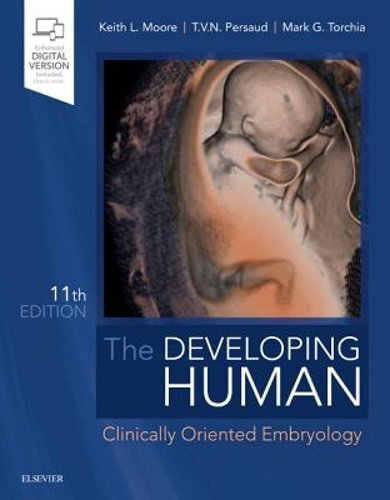 The Developing Human: Clinically Oriented Embryology by Keith L. Moore ...