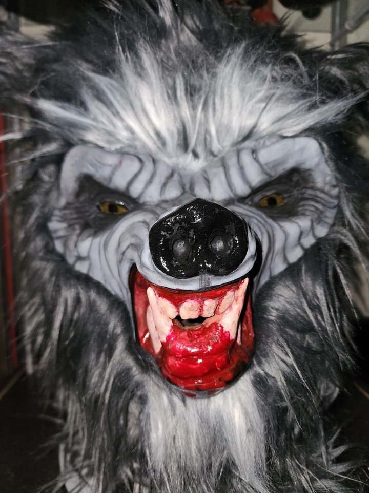 Werewolf Waxwork Life-size Horror Bust | eBay