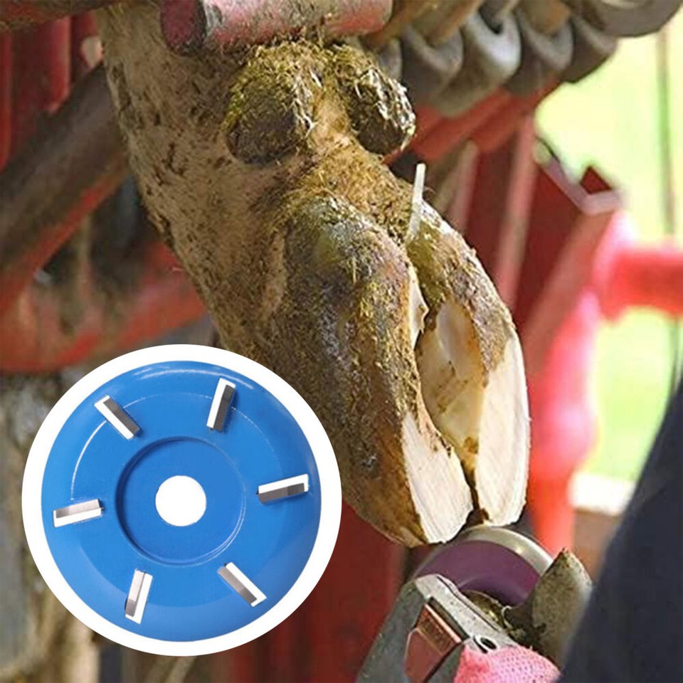 Hoof Trimming Disc Professional Electric Hoof Repair Tool High Working ...