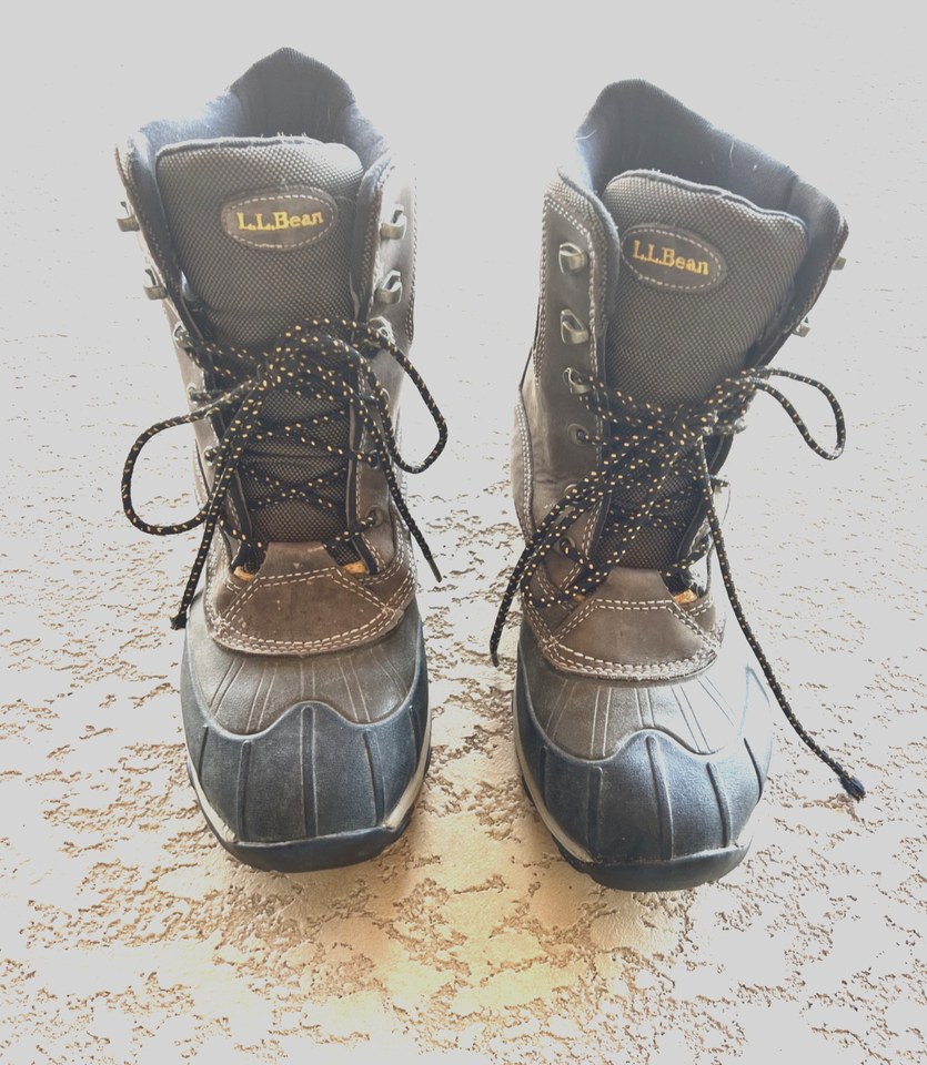 L.L. BEAN INSULATED WATERPROOF Dri-Lex 2 Zone Comfort Lining Books Size ...