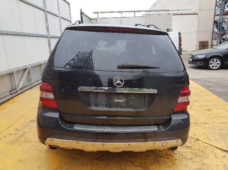 Rady♡旧花びらスカーフ - その他