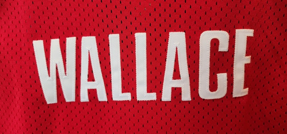 VTG 2000s NBA Reebok Detroit Pistons Ben Wallace Jersey 3 Mens XL SEWN ...