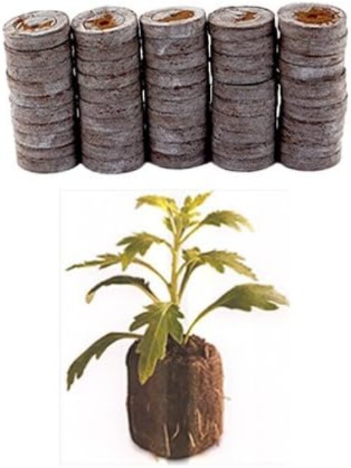 Convenient Pack of 50 Seed Starter Soil Plugs for Year-Round Gardening ...