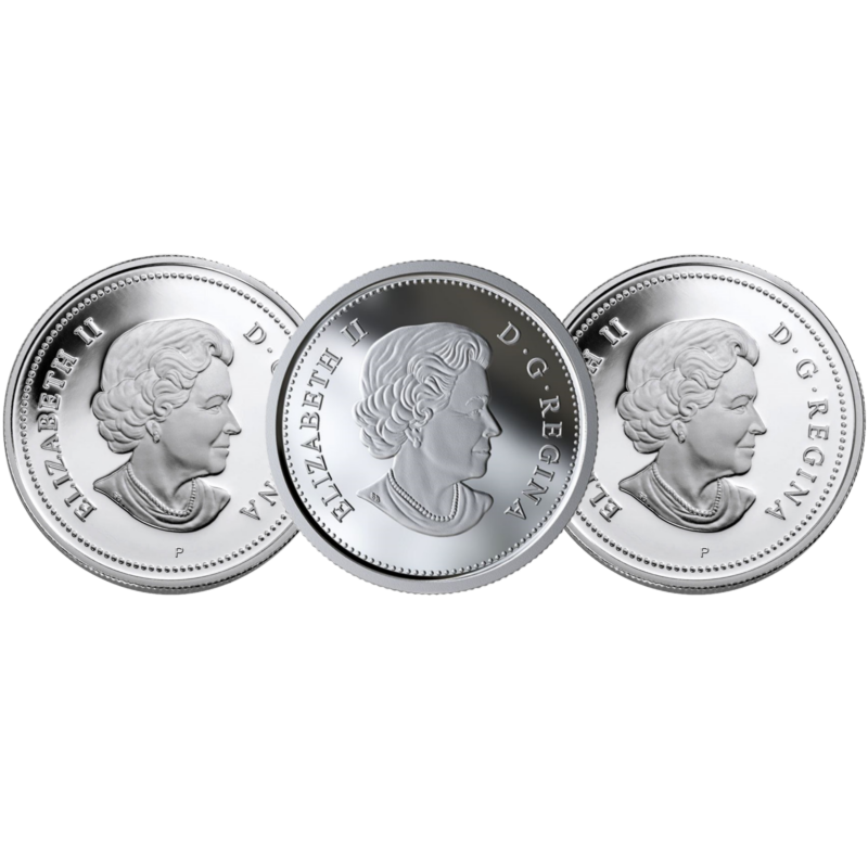 🇨🇦 Rare Canada quarters Remembrance POPPY 25 cents, 2004 | eBay