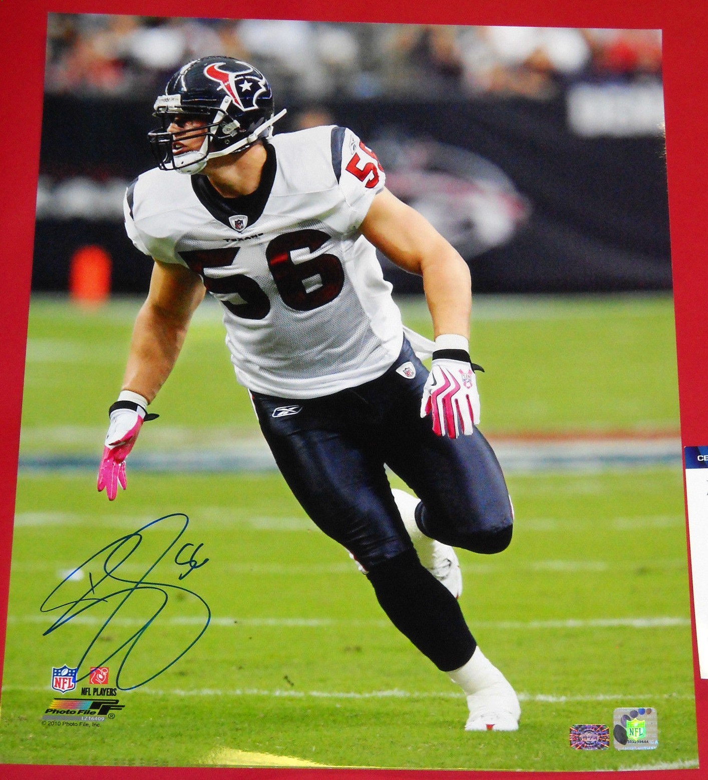 BRIAN CUSHING AUTOGRAPHED HOUSTON TEXANS 16X20 PHOTO AASH | eBay