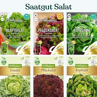 Salat Samen Saatgut verschiedene Sorten Pflücksalat Eissalat Kopfsalat ...