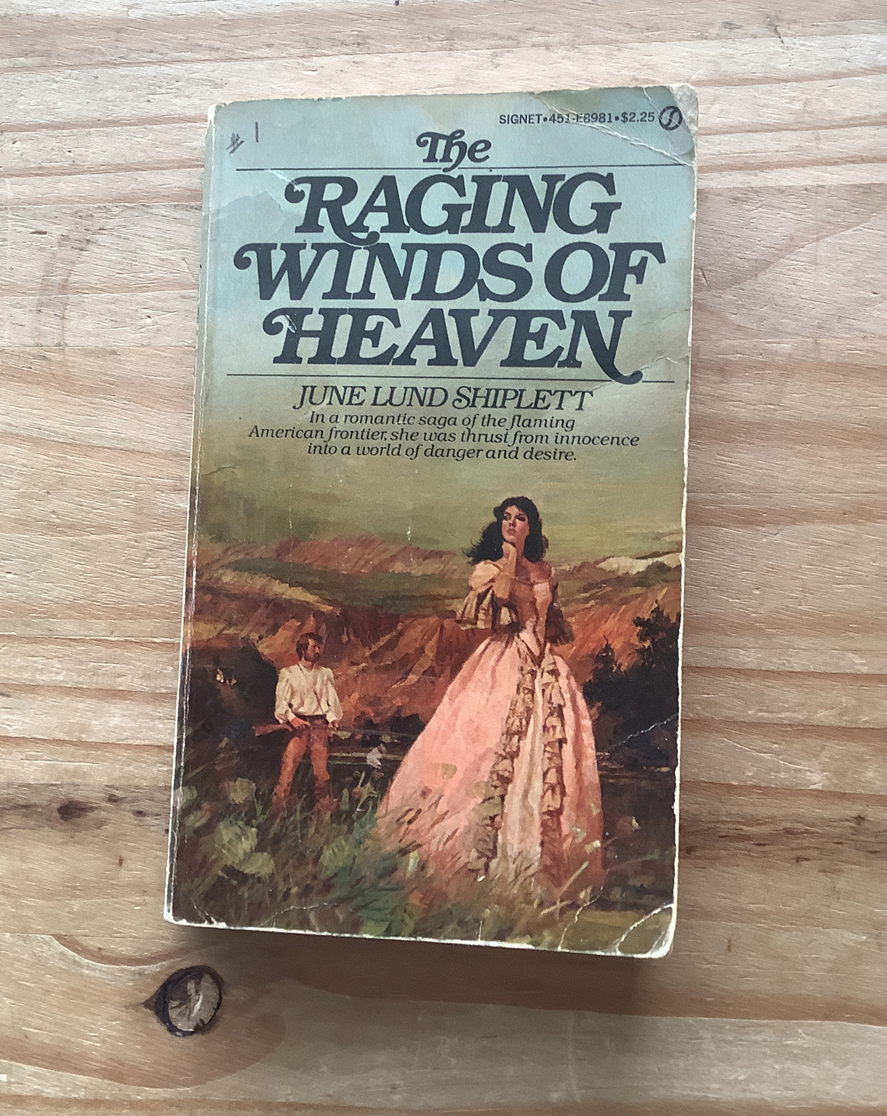 The Raging Winds Of Heaven June Lund Shiplett 1978 Paperback Signet ...