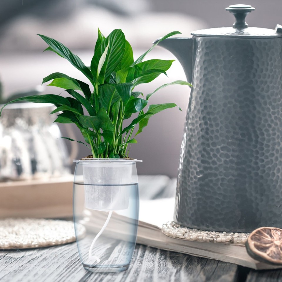 10pcs Cotton Rope Planting Basket Green Planting Root Plant Water ...