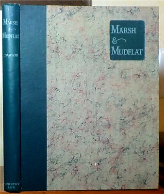 Marsh & Mudflat by Major Kenneth Dawon, illustrations by Winifred ...