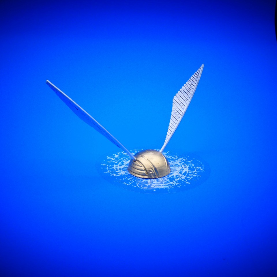 Golden Snitch Window Splat | eBay