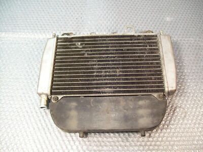 WATER RADIATOR FOR PIAGGIO X9 250 EVOLUTION FROM 2005 (e18224) | eBay ...