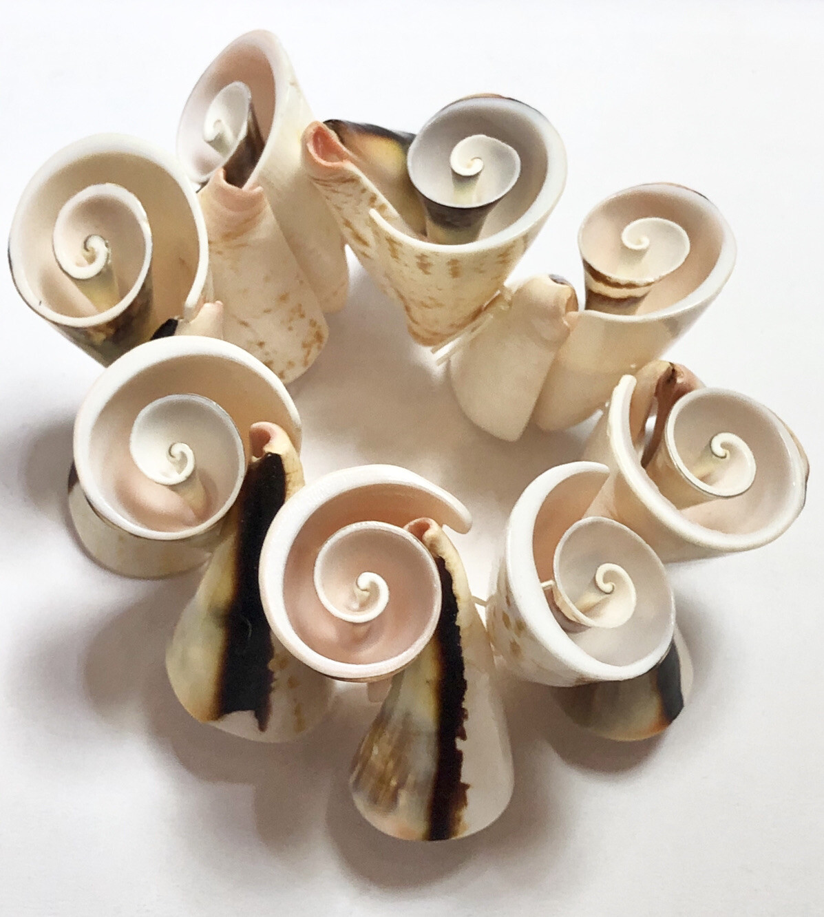 Stretch seashell shell vintage bracelet - Gem