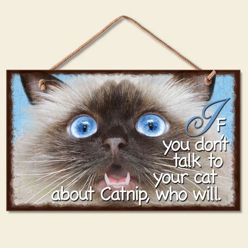 Cat Wood Sign "Talk About Catnip" - 41-364 | eBay