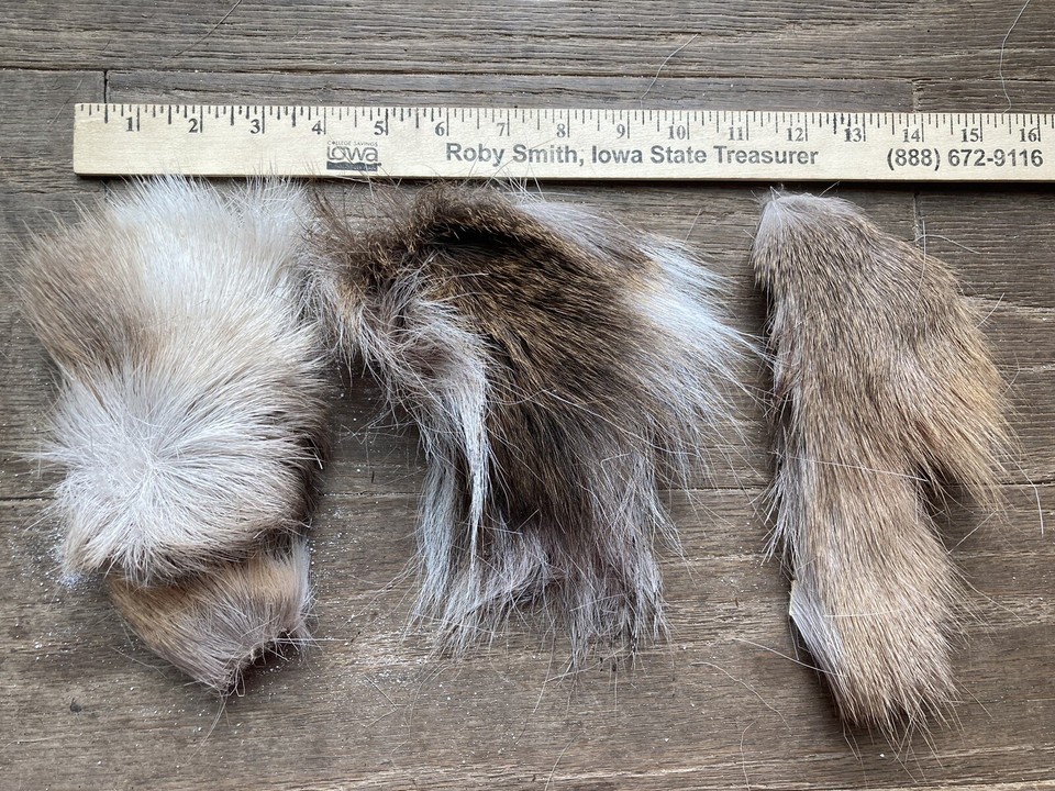 Fly Tying Hair Combo - Tails - 2 Squirrel, 1 Coon, 1 Deer + 3 Deer Hide ...
