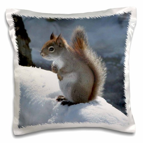 3dRose Red Squirrel in the Snow 16x16 inch Pillow Case | eBay