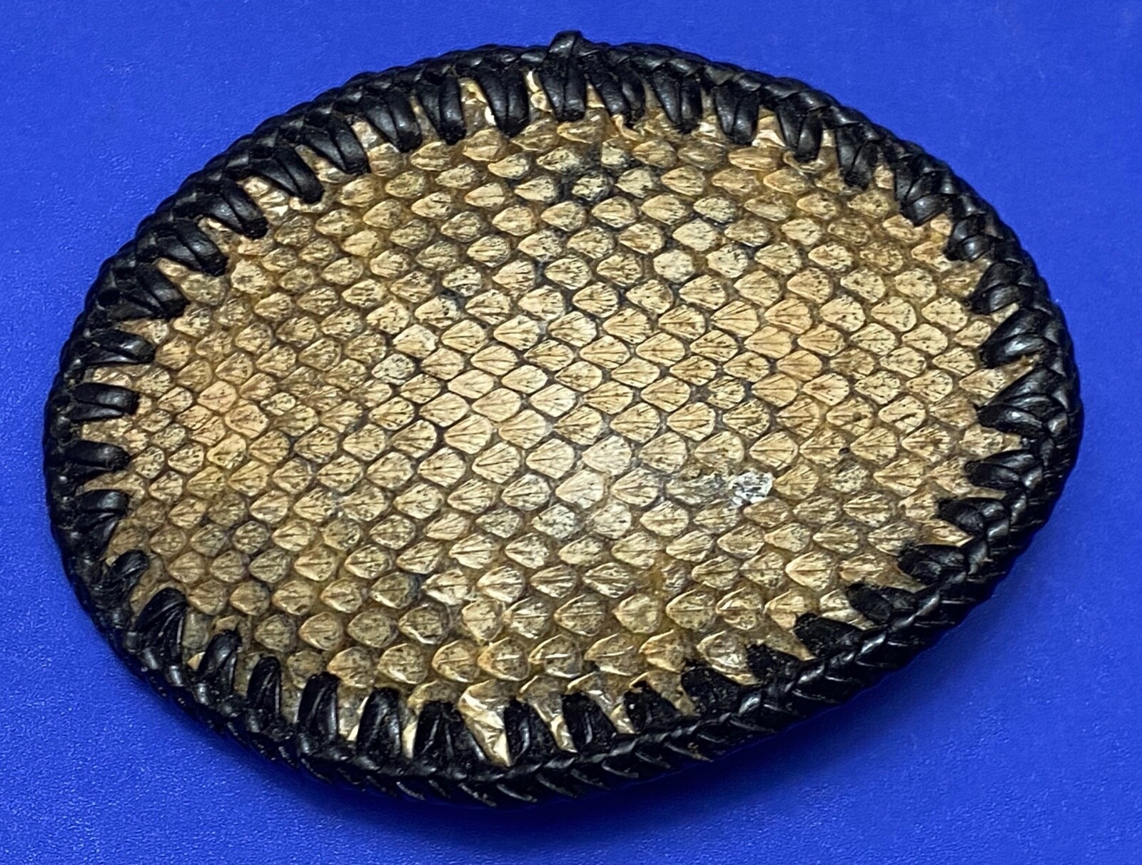 Diamondback Rattlesnake Skin Pattern