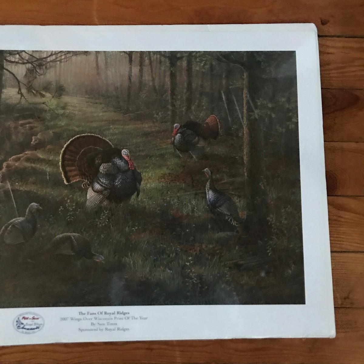 Sam Timm Wildlife Art